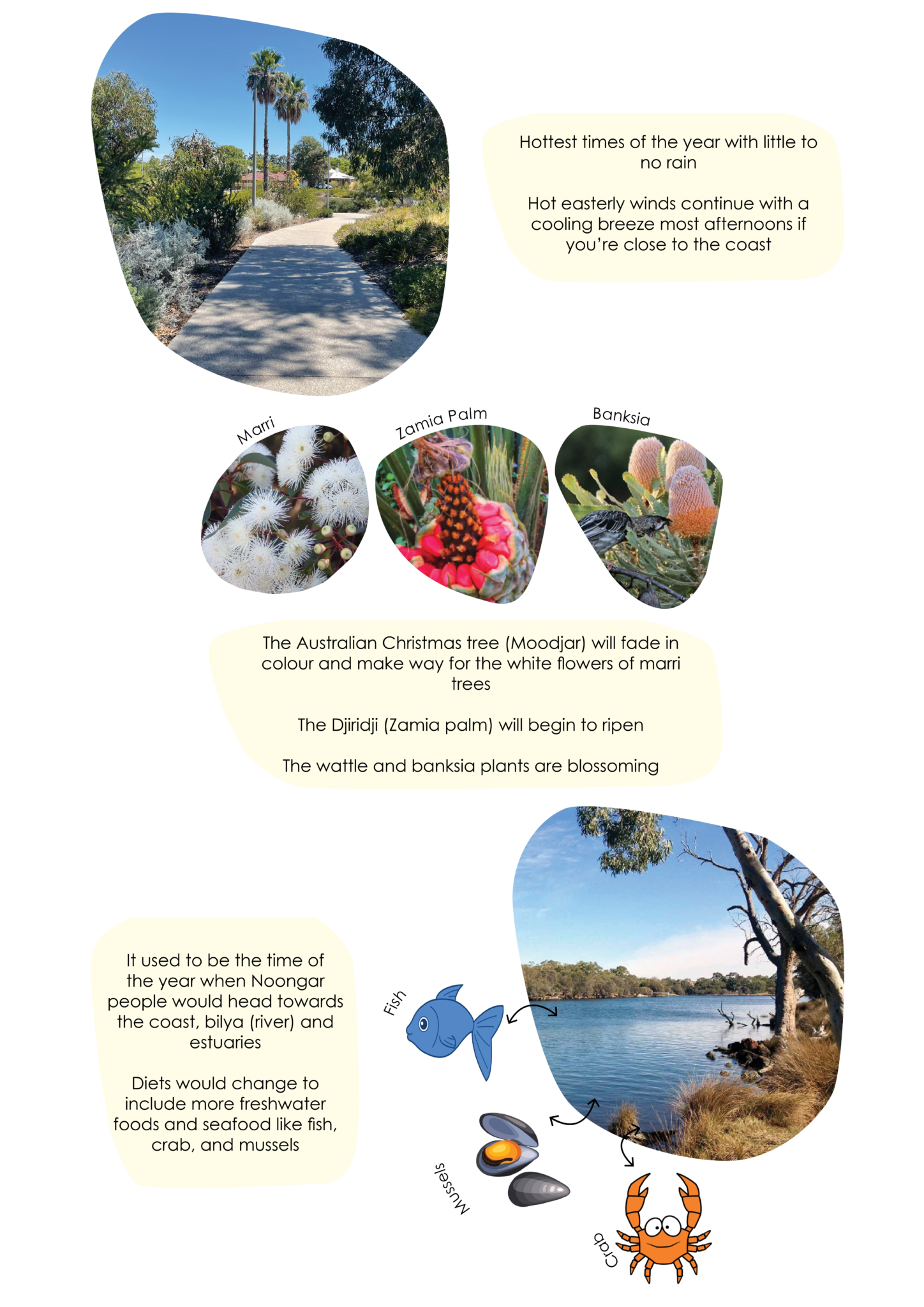 Noongar Seasons – Bunuru (February – March) – Urbaqua
